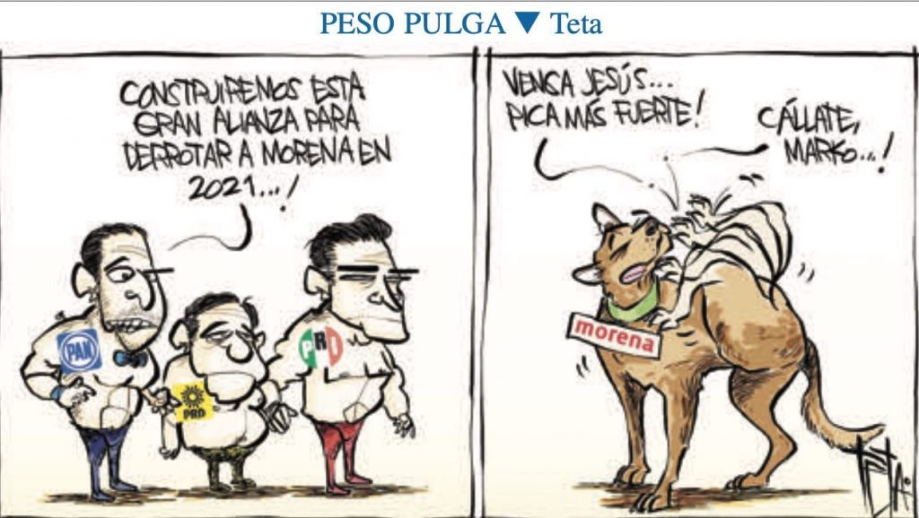 PESO PULGA - El Sur Acapulco suracapulco I Noticias Acapulco Guerrero