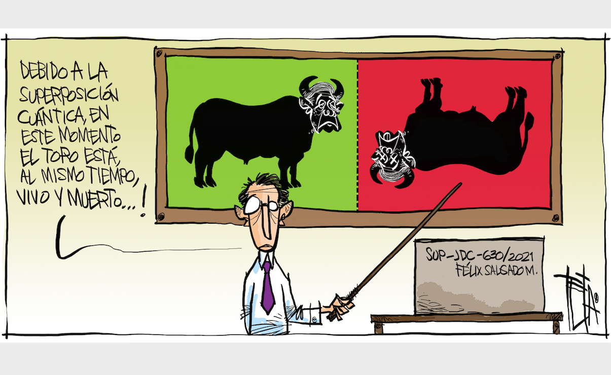 El toro de Schrödinger / Teta - El Sur Acapulco suracapulco I Noticias ...