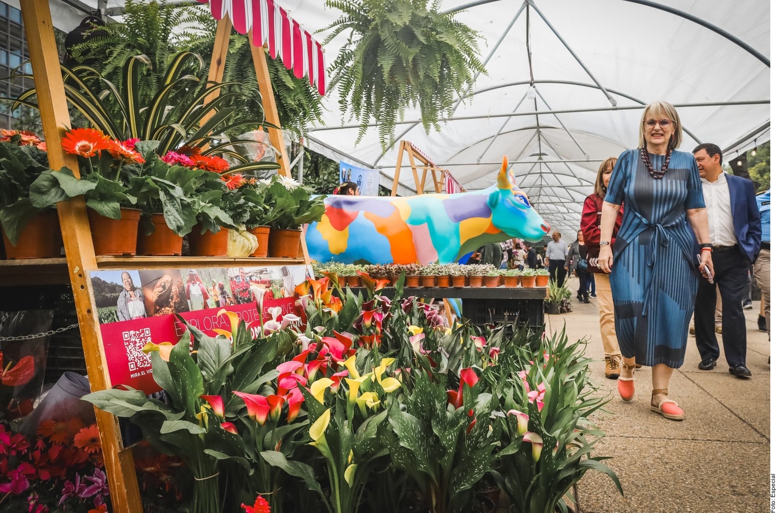 Arranca Festival Flores de Verano en Cdmx - El Sur Acapulco suracapulco ...