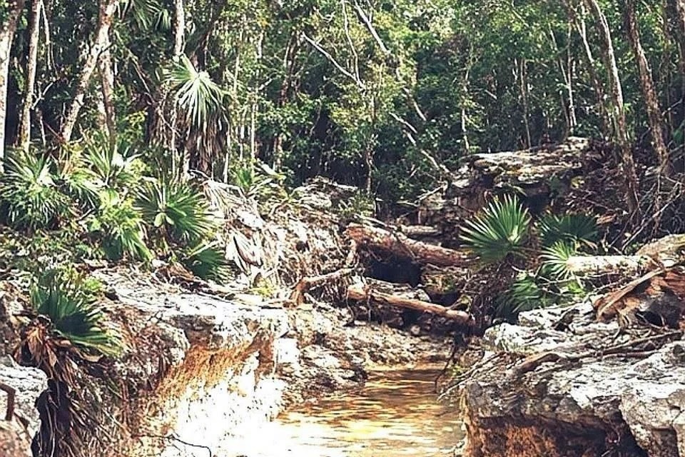 Ven riesgo para acuífero por carretera en Tulum - El Sur Acapulco ...